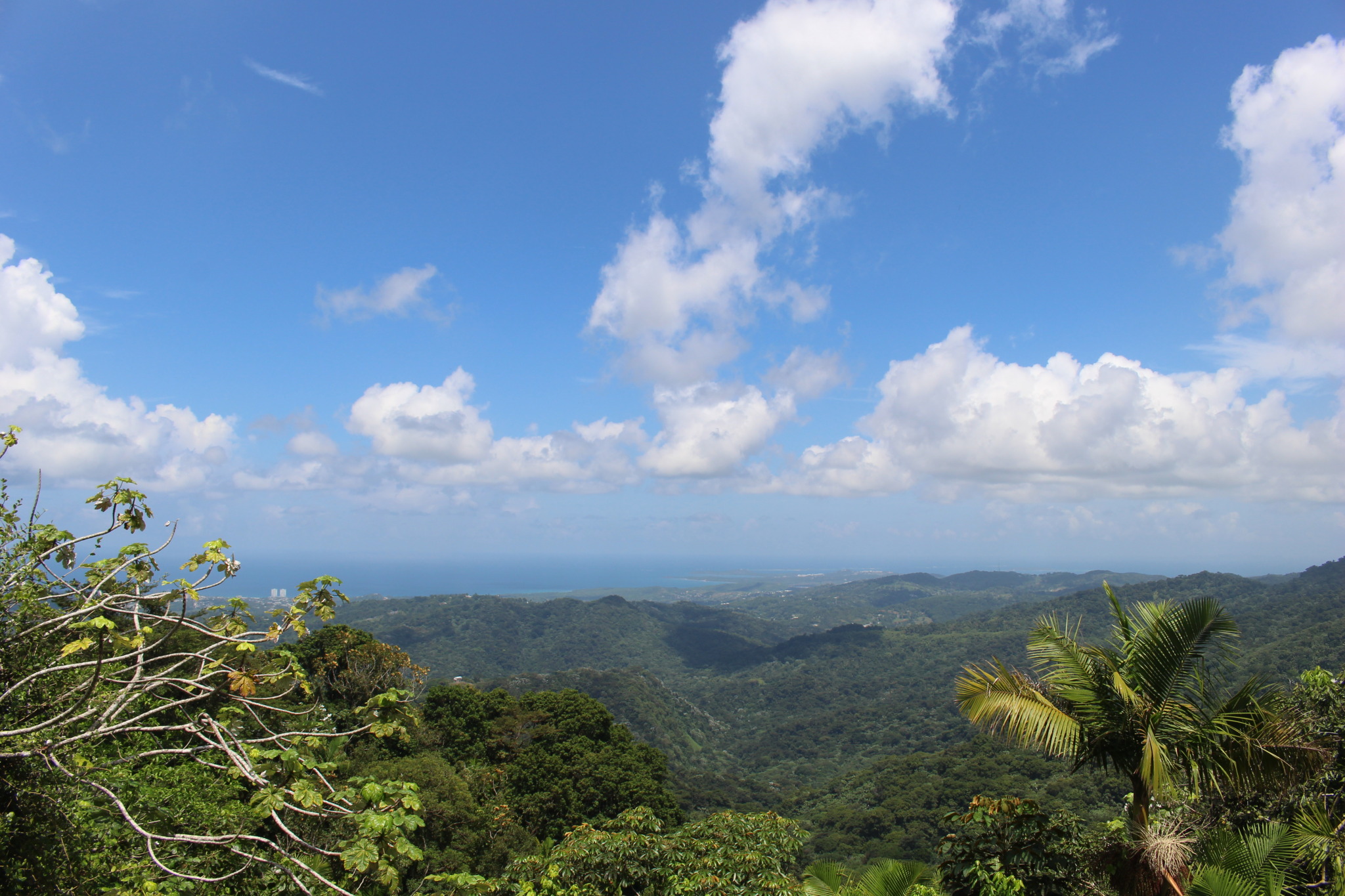 View from Yokahu Tower - Travel Agent Diary