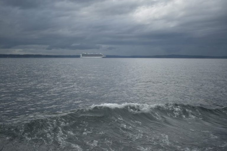 Puget Sound Cruise from Seattle - Travel Agent Diary